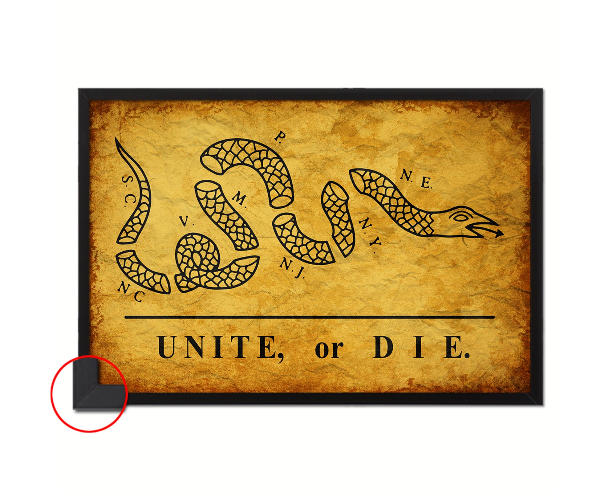 Unite or Die Vintage Military Flag Wall Decor Art Prints - MAUMshop.work