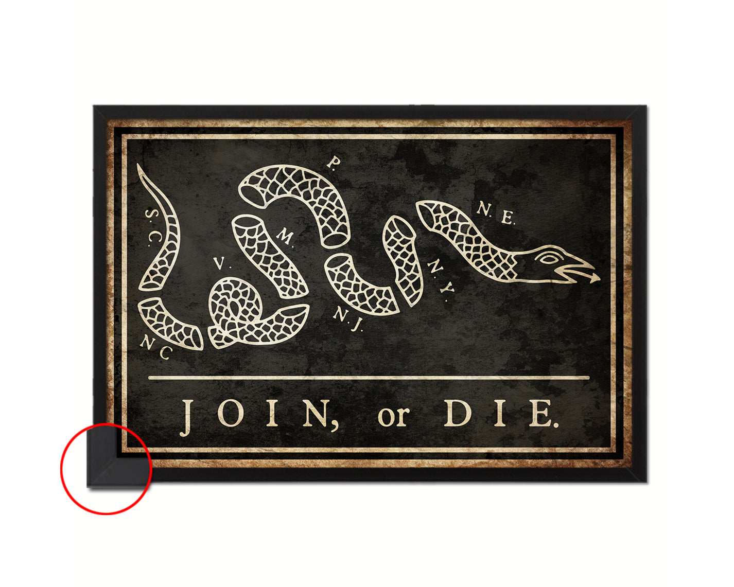 US Join or Die Snake Colonial Revolutionary War Vintage Military Flag ...