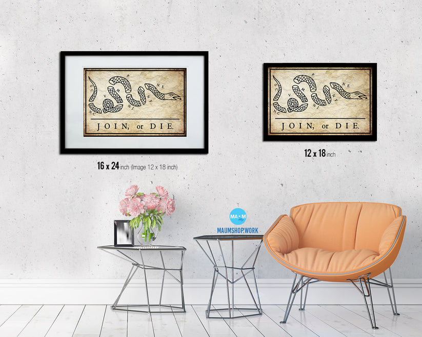 US Join or Die Snake Colonial Revolutionary War Vintage Military Flag ...